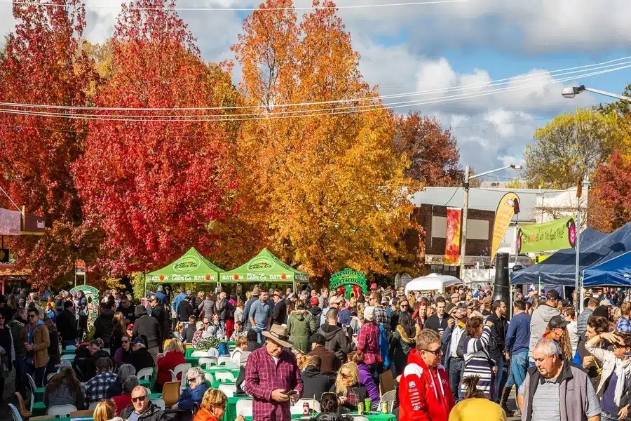 Norton Cider Festival - Celebrate Fall with Fun and Flavor